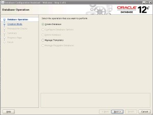 Install grid Infrastructure 12c on standalone server DBACLASS