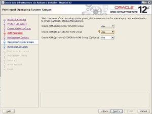 Install grid Infrastructure 12c on standalone server DBACLASS